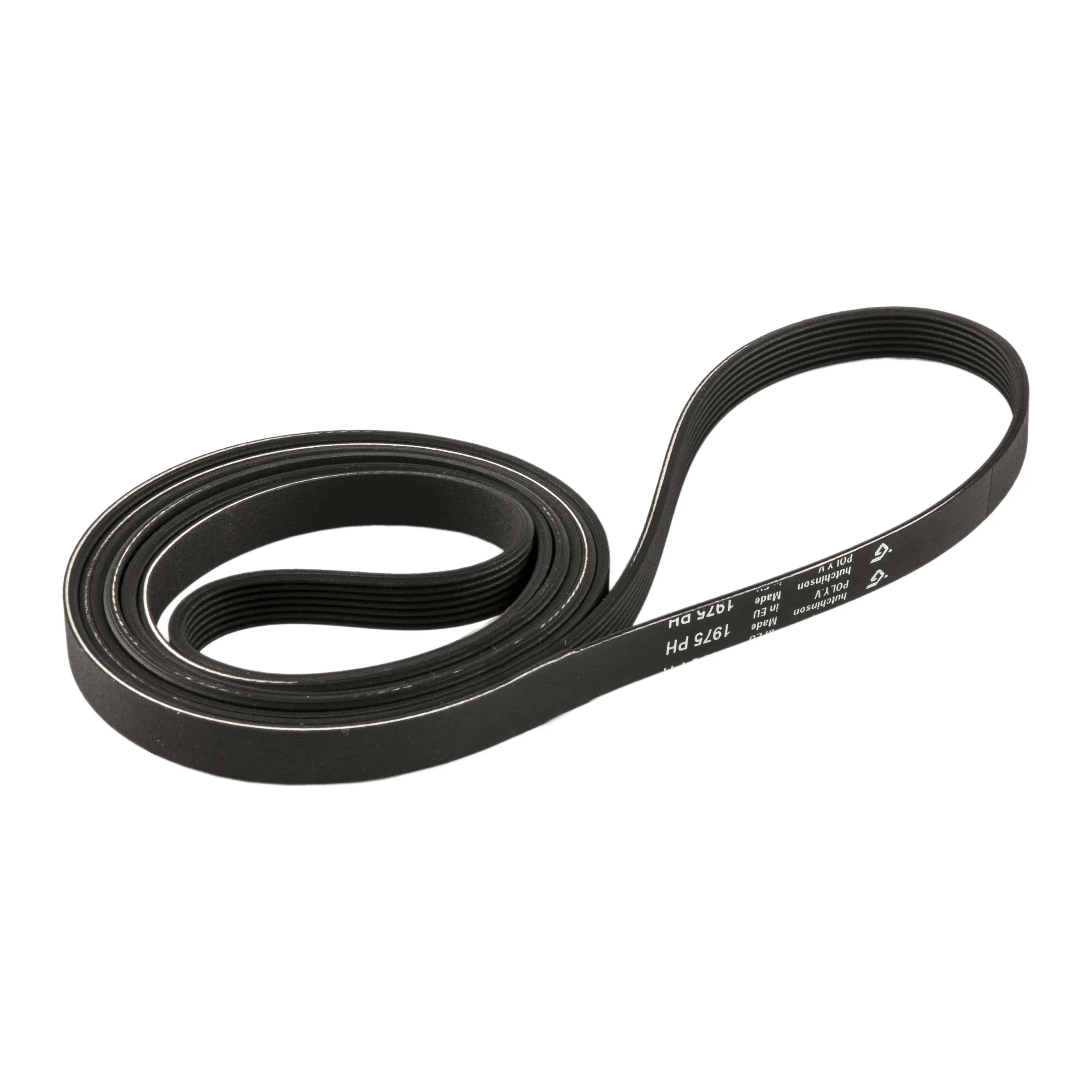 Poly-V String 1975 H7 | WD0001 | Domestic